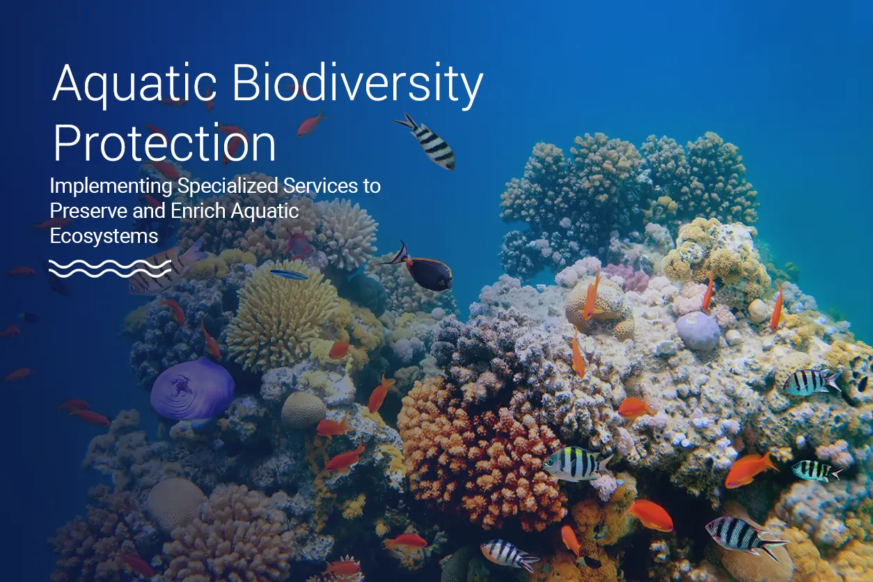Aquatic Ecosystem Images Aquatic Ecosystem Stock Photos, Images And